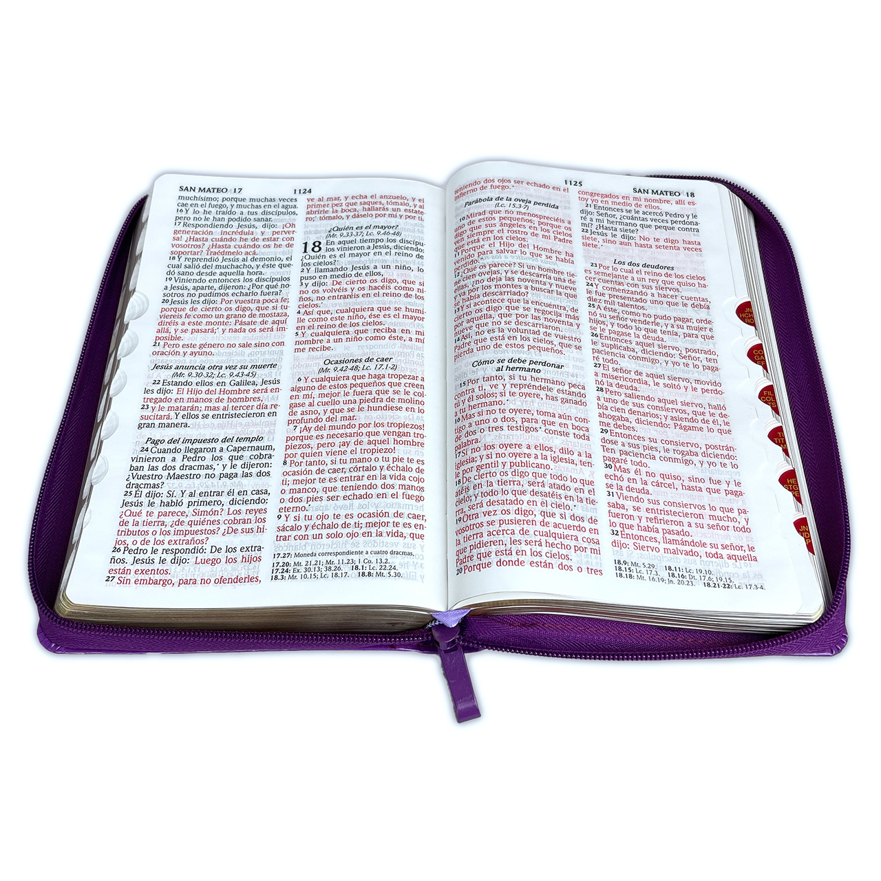 Biblia RVR1960 Letra Grande Manual Morado – Pez con Anteojos