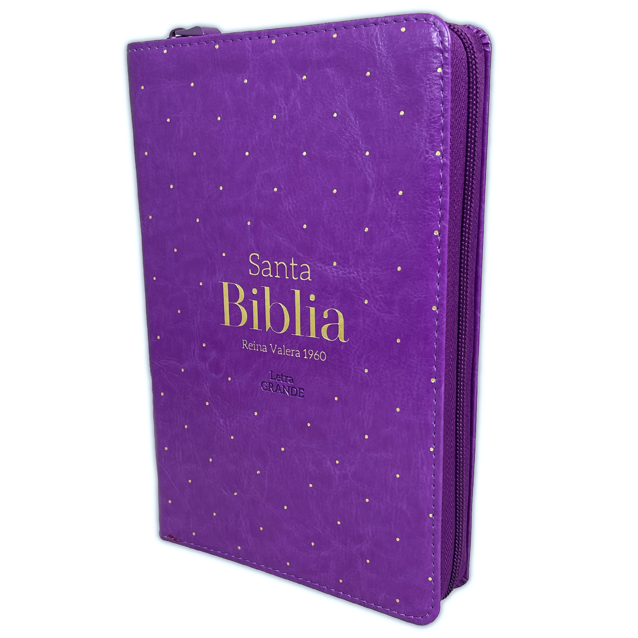 Biblia RVR1960 Letra Grande Manual Morado – Pez con Anteojos